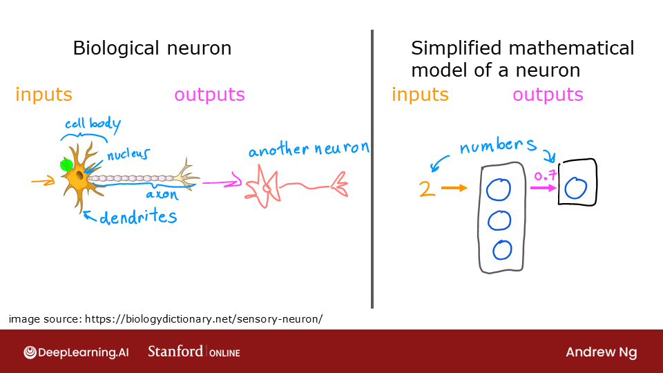 Kakamana’s Blogs - Neurons and Layers